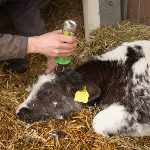 Remedy Animal Health Store - Portasol model 3 butane dehorner ...