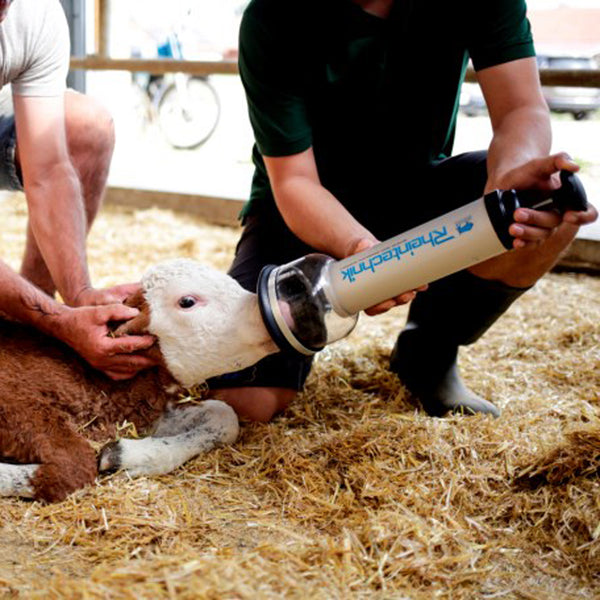 Remedy Animal Health Store - Kerbl Calf puller with plastic head ...